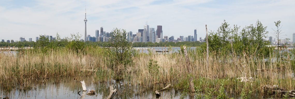 About – Tommy Thompson Park | Leslie Street Spit